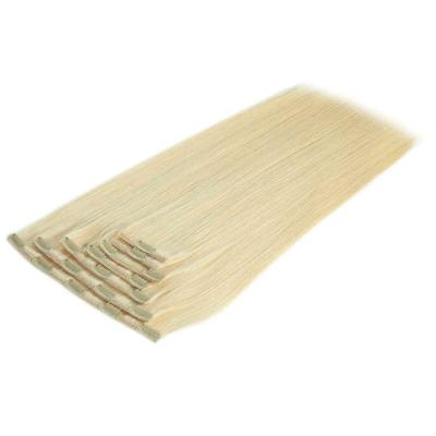 China Russian Virgin Hair Clip In Extensions 100g per Piece 14-28 Inch Remy Human Hair for sale