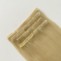 China Russian Virgin Hair Clip In Extensions 100g per Piece 14-28 Inch Remy Human Hair for sale