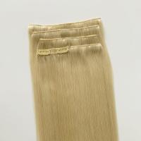 China 100% Remy Human Hair Clip In Extensions Silky Straight 14-28 Inch 100-180g for sale