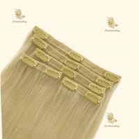 China 100g Unprocessed Virgin Remy Russian Hair Lace Clip in Hair Extensions 14-28 inch 50 Colors for sale