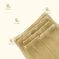 China 100% Remy Human Hair Clip In Extensions Silky Straight 14-28 Inch 100-180g for sale