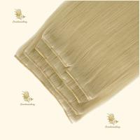 China 100% Remy Human Hair Clip In Extensions Silky Straight 14-28 Inch 100-180g for sale