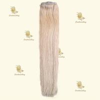China 100% Russian Human Remy Hair Clip In Extensions 14-28 Inch Custom Color for sale