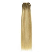 China 100% Remy Human Hair Clip In Extensions 14-28 Inch 100-180g Custom Color for sale