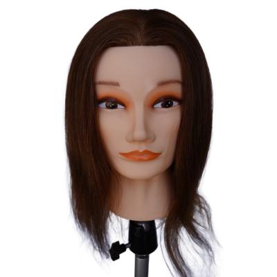 China 100% Human Hair Female Manikin Cosmetology Doll Head 14-24 Inch for Salon Training Practice for sale