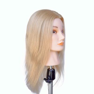 China European Face Real Hair Mannequin Head for Hairdresser Training 8 to 24 Inch for sale