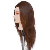 China European Face Real Hair Mannequin Head for Hairdresser Training 8 to 24 Inch for sale