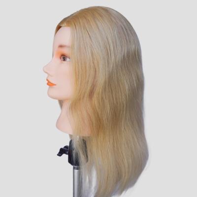 China European Face Practice Mannequin Head 100% Human Hair 8-24 Inch Backward Hair Direction for sale