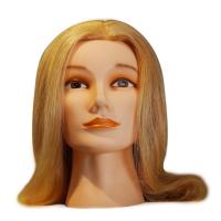 China European Face Practice Mannequin Head 100% Human Hair 8-24 Inch Backward Hair Direction for sale