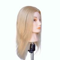 China European Face Practice Mannequin Head 100% Human Hair 8-24 Inch Backward Hair Direction for sale