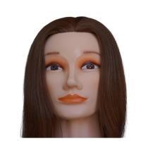 China European Face Practice Mannequin Head 100% Human Hair 8-24 Inch Backward Hair Direction for sale
