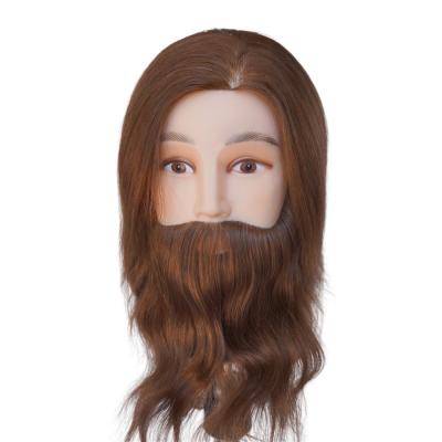 China Male Mannequin Head with Beard 100% Human Hair 8-24 Inch Cosmetology Training Doll for Hair Styling for sale
