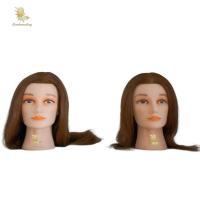 China Male Mannequin Head with Beard 100% Human Hair 8-24 Inch Cosmetology Training Doll for Hair Styling for sale