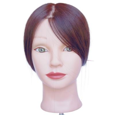 China 100% Human Hair Training Head 165g Asia Face for Hair Styling 8-24 Inch for sale