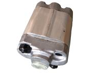 China CE Approved Oil Gear Hydraulic Pumps For Hydraulic Power Pack 160-270 Max Pressure/ bar for sale