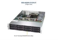 China Private Mold SuperStorage Server 12x 3.5in SAS3 SATA3 Bays 2x 10GbE Intel 4210 CPU 128GB for sale
