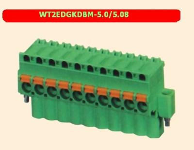 China Custom Pcb Wire Terminal  Block 26－14 Awg WT2EDGKDA-5.0/5.08 for sale