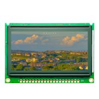 China Wholsale Price Micro TN STN Display Moule LCD 128X64 DOT Matrix Screen for sale