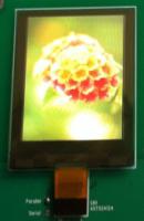 China Customize OEM 1.66
