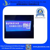 China STN FSTN 24064 Dots Matrix 12 O'Clock COB LCD Display Module for sale