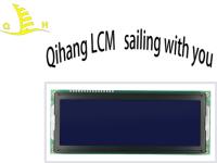 China RW1061 IC 16 PIN 2004A 20x4 Dots Multiplex Drive Monochrome LCD Display Module for sale
