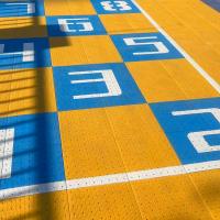 China Interlocking Sports Tiles | Anti-Slip Shock Absorbing Flooring for sale