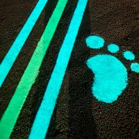 China Glow in the Dark Road Paint for Concrete & Asphalt | 15yr Life for sale