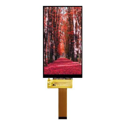 China 5.5 Inch IPS TFT LCD Display | MIPI Interface With ILI9881 Controller for sale
