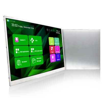 China 10.1 Inch 1024x600 IPS LCD Display Module with LVDS | EK79001 Controller for sale
