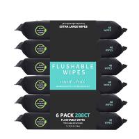 China Plastic Free Mint Flushable Wet Wipes 17.8x17.8cm 288-Pack with 100% Plant Fibers for sale