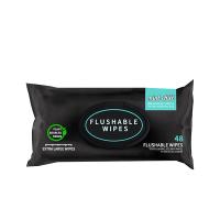 China Customizable 17.8x17.8cm Flushable Wet Toilet Paper with EDI Purified Water - 48pc Plant-Based Wipes for sale