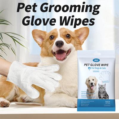 China 6-Piece Non-Toxic Pet Glove Wipes 23x25cm Deodorizing Cleaning for Dogs and Cats for sale