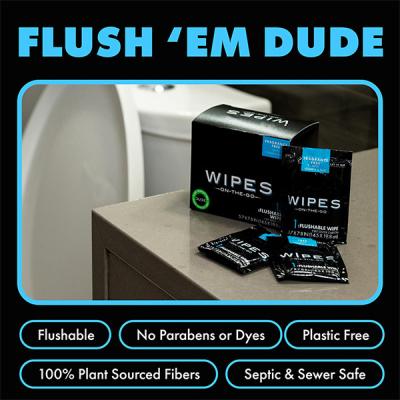 China 15cm x 20cm Unscented Flushable Wipes with Vitamin E & Aloe - 30 Pcs/Box Travel Hygiene Solution for sale