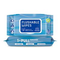 China Wholesale Adults Flushable Wet Wipes 42pcs 15x20cm with Aloe Vera for OEM Private Label for sale