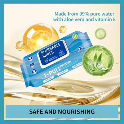 China OEM Flushable Wipes 42pcs Biodegradable Adult Wet Wipes 15x20cm Custom for sale