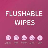 China Custom Print Scented 32 Single Pack 15*20cm Individual Wrapped Flushable Feminine Wipe for sale