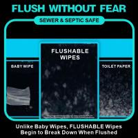 China OEM Custom Private Label Mint Cool Mini Portable flushable Adult Wipes 48pcs for sale