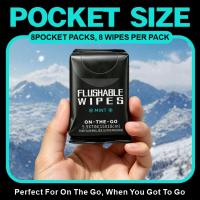 China OEM China Factory Private Label Mint Cool Mini Pocket Size flushable Wipes 64pcs for sale