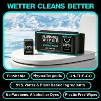 China Custom Private-label Personal Adult Wipes 48PCS 15*18cm On-The-Go Portable Pocket Packs Free Fragrance 99% Water Flushable Wipes for sale