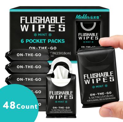 China OEM Custom Private Label Mint Cool Mini Portable flushable Adult Wipes 48pcs for sale