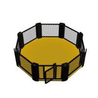 China Pro Wrestling PVC Boxing Ring Custom 5x5M Professional Size for sale