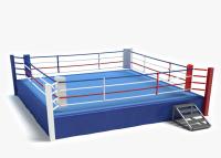 China PVC Floor Cover 5m MMA Fighting Ring For Champion for sale