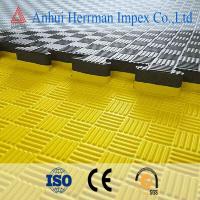 China TKD  EVA  Taekwondo Floor Karate Tatami Mats Individual Rungs for sale