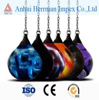 China Heavy Training Fitness Equipment Boxing Water Filled Aqua Punch Bag for sale