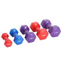 China Gym Aerobic Exercize Neoprene Coated Rubber Vinyl Neoprene Dumbbell Set for sale