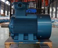 China Variable Speed Neodymium Magnet Motor No Gear Box Natural Cooling IP68 IP65 for sale