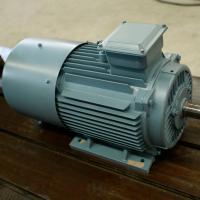 China Natural Cooled Permanent Magnet Synchronous Generator 25kw 500rpm 400V 50Hz for sale