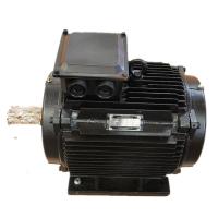 China 250kw 125rpm Permanent Magnet Alternator 400V 50Hz For Electricity Generation for sale
