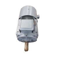 China Rare Earth Permanent Magnet Generator 500kw 250rpm Natural Cooled for sale