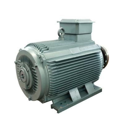 China Fuelless Free Energy Permanent Magnet Generator Hydro Turbine Wind Turbine IP55 for sale